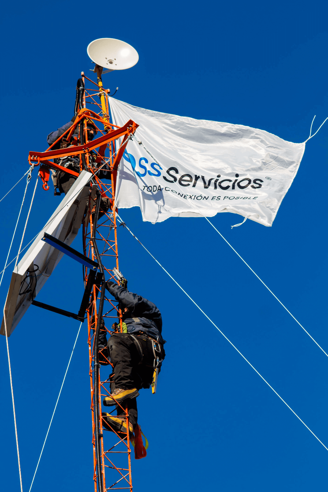 SS Servicios